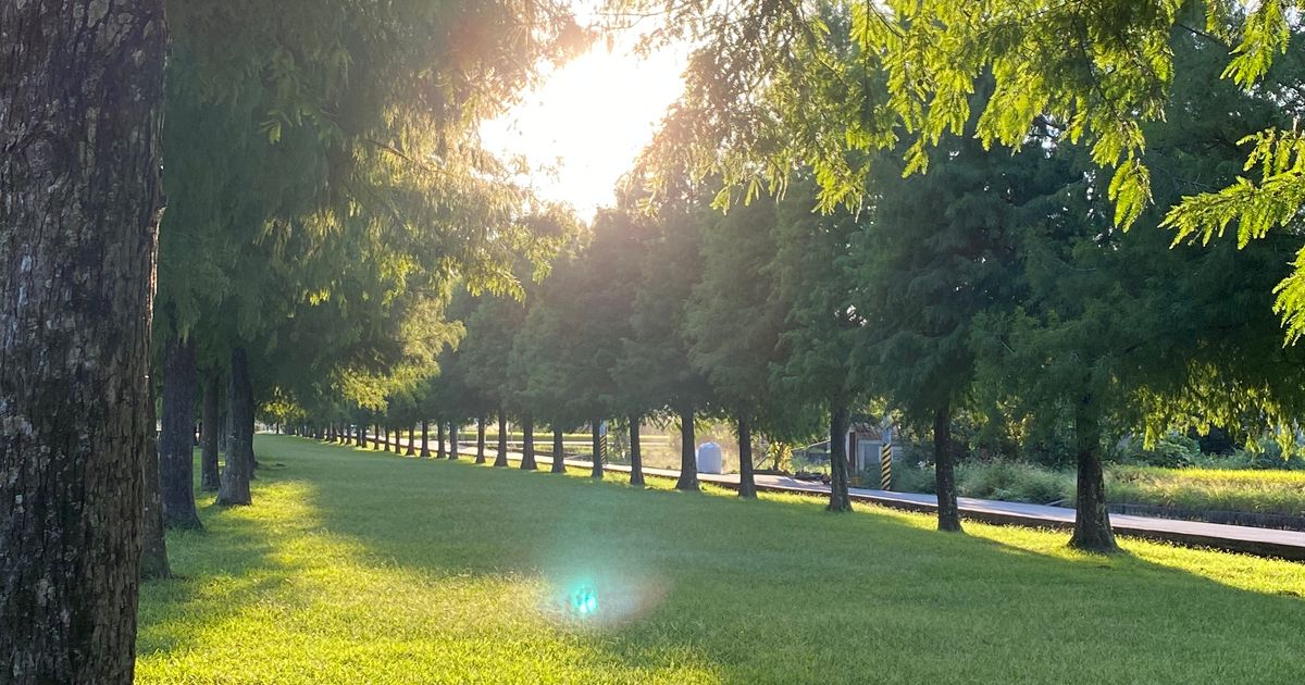 2022 法雅客線上攝影比賽Round 2