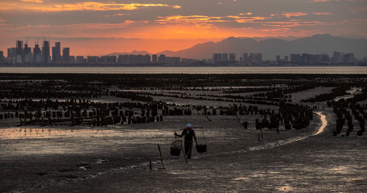得之於海