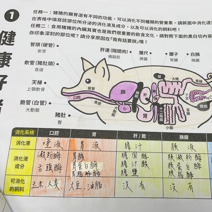 新北市板橋區忠孝國中八年六班_宋o璇